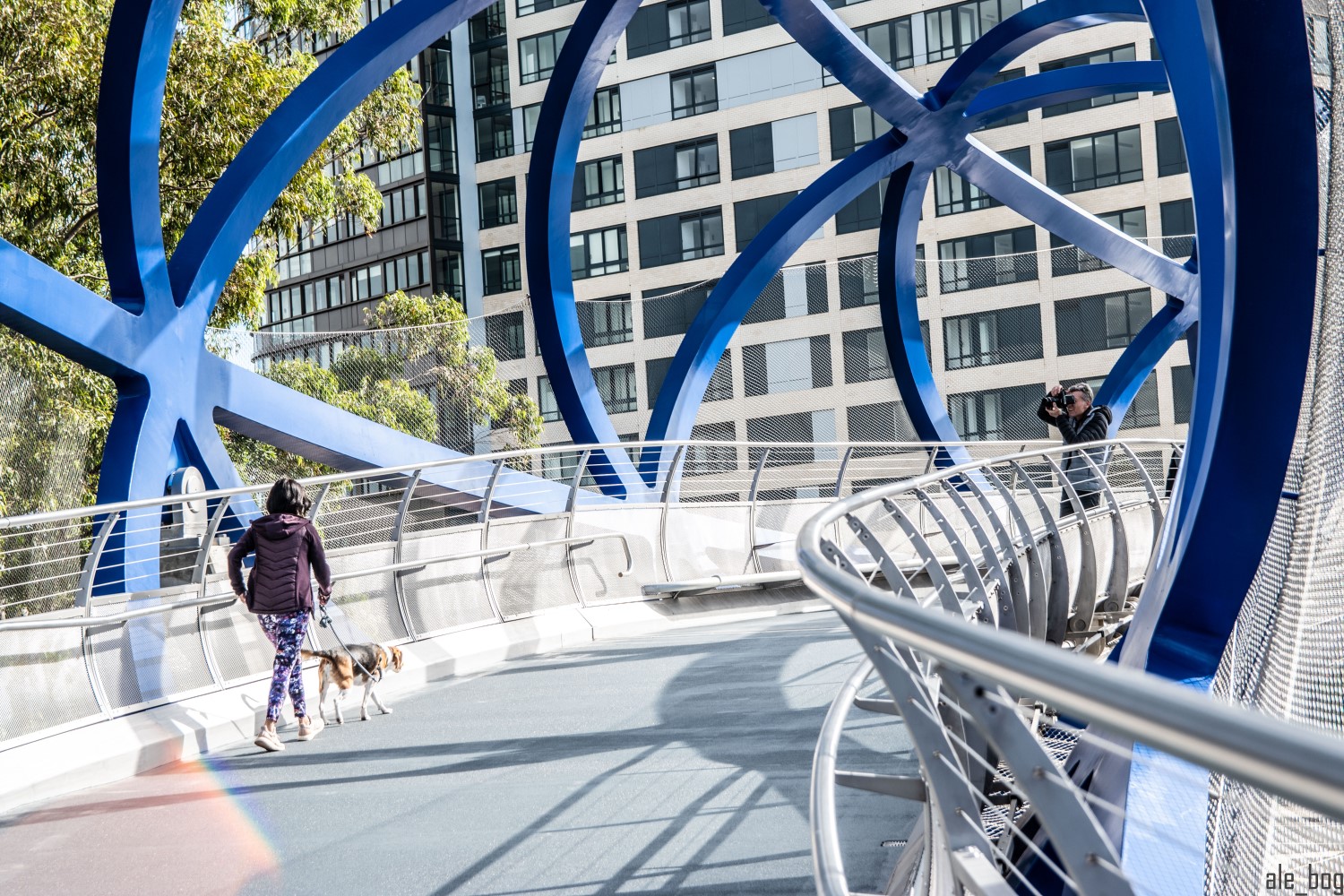 Sydney’s beautiful double helix bridge at Lachlan’s Line - Oasys