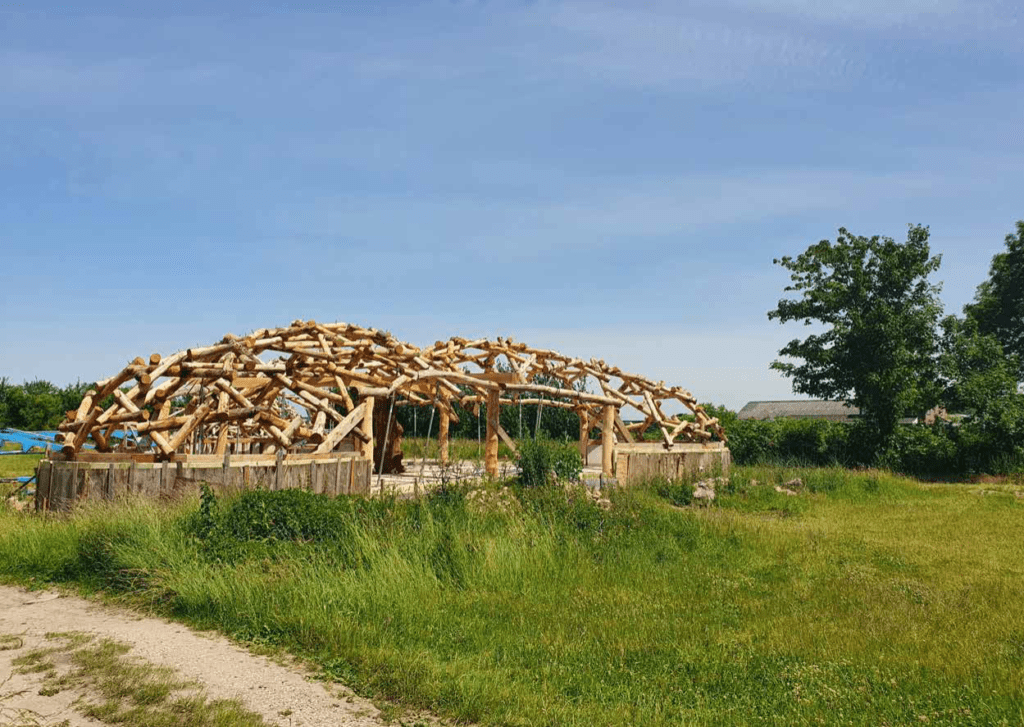 Intricate structural analysis of Reciprocal Frames using Oasys GSA - Oasys